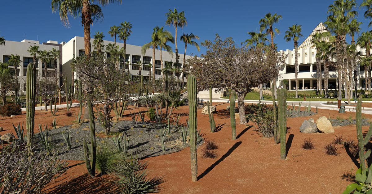 Paradisus Los Cabos – Los Cabos - Paradisus Los Cabos All Inclusive ...